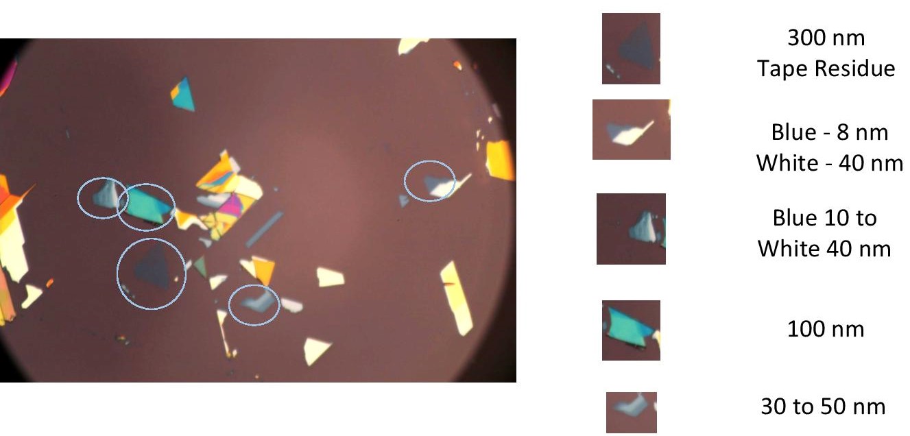 2D Materials | Schaibley Lab